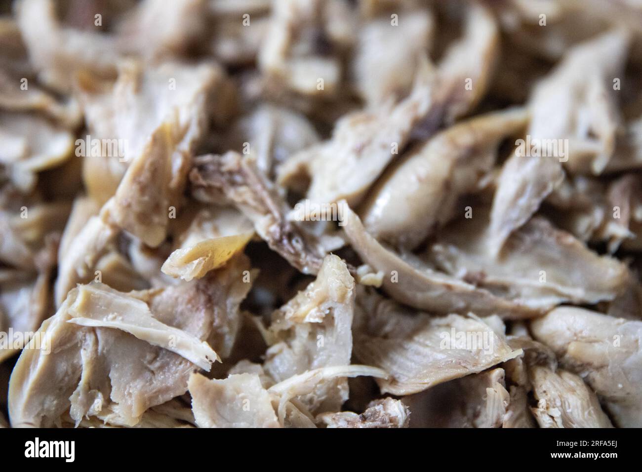 Shredded chicken meat shot close up Stock Photo - Alamy