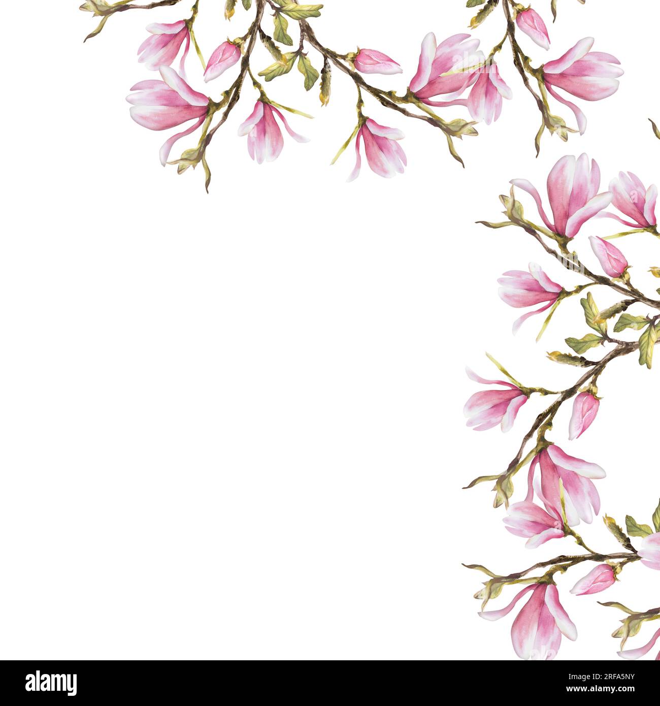 Floral frame watercolor magnolias flowers buds leaves Hand painted ...