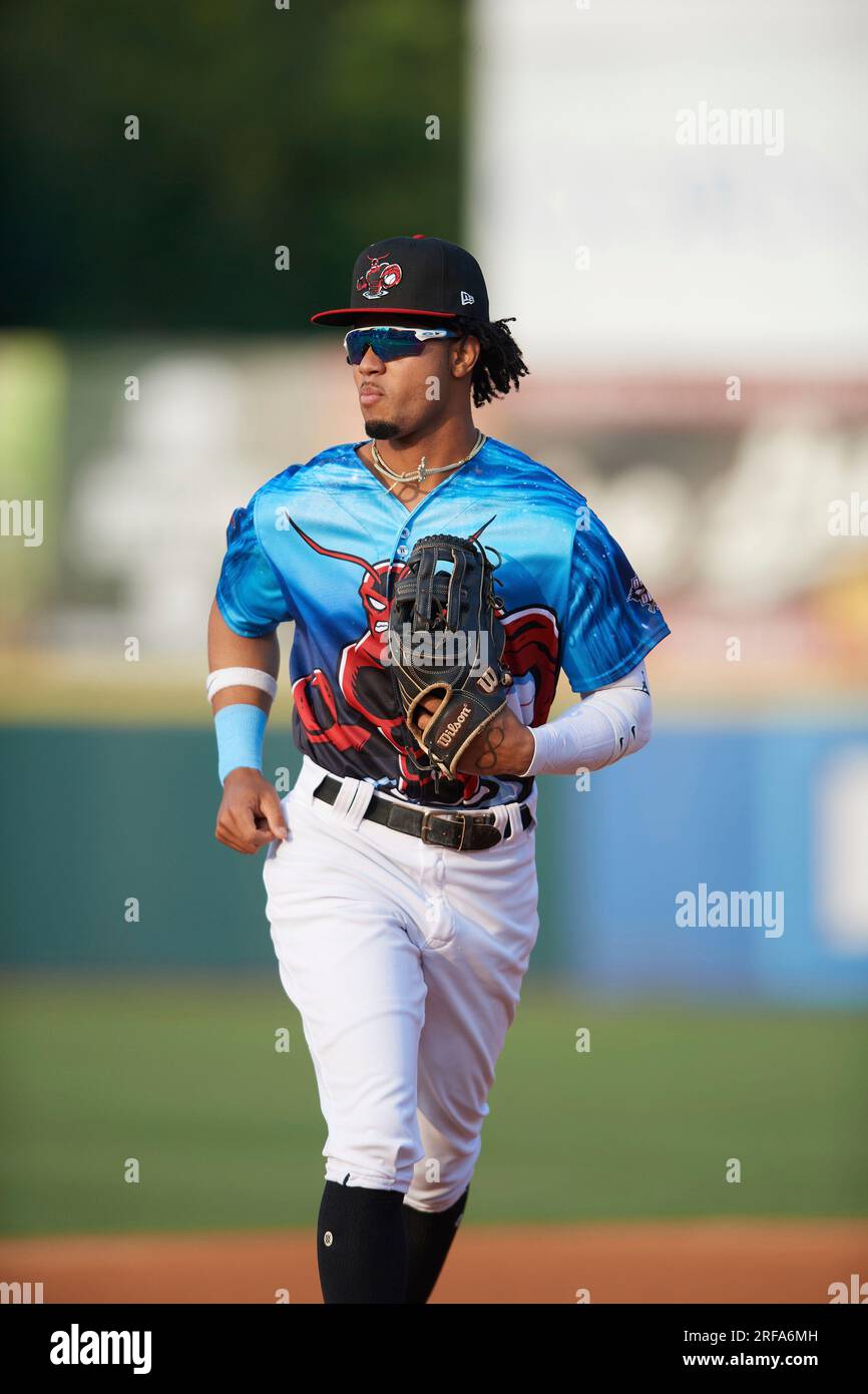 Daniel Mateo (2) of the Hickory Crawdads during a South Atlantic League ...