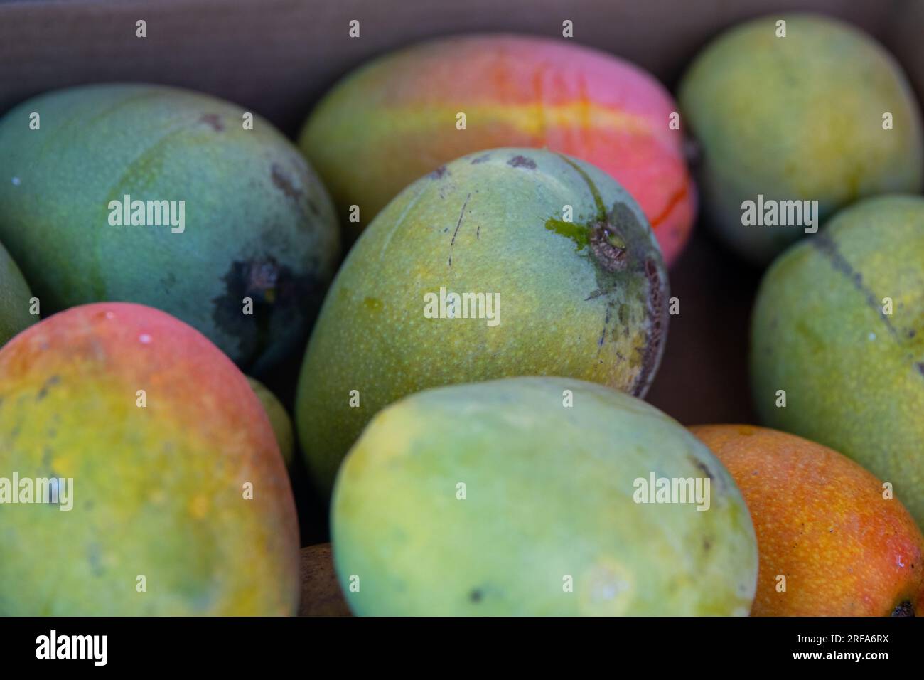 Box of mangoes hi-res stock photography and images - Alamy