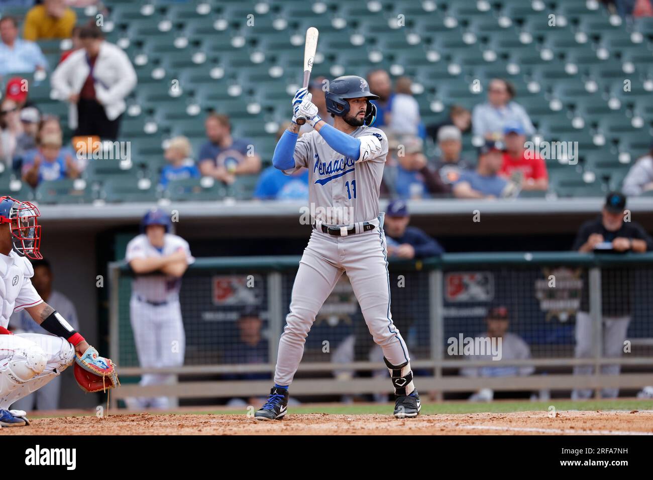 Pensacola Blue Wahoos designated hitter Will Banfield (11) at bat ...