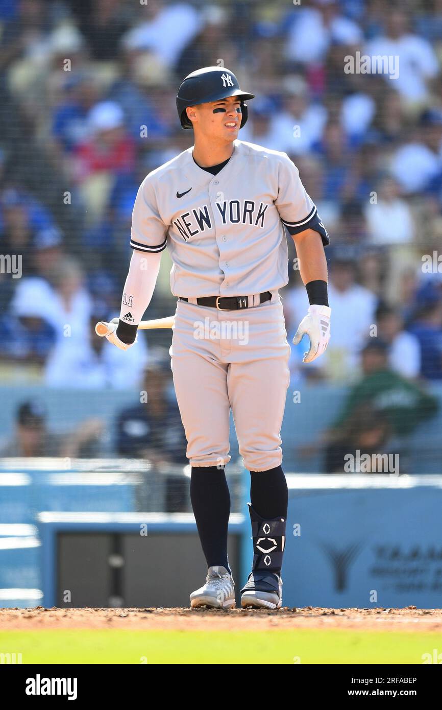 LOS ANGELES, CA - JUNE 03: New York Yankees shortstop Anthony Volpe (11) at bat during the MLB ...