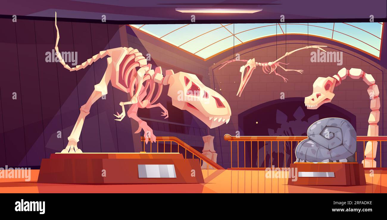 Fossil tyrannosaurus dinosaur skeleton in museum cartoon vector ancient ...