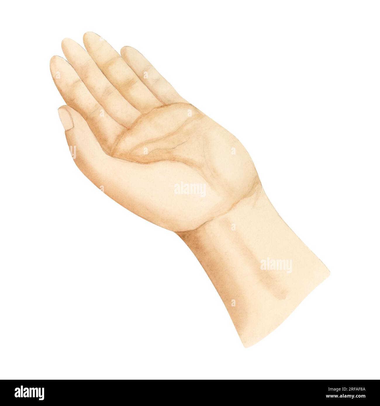 Watercolor open palm hand gesture illustration isolated on white ...