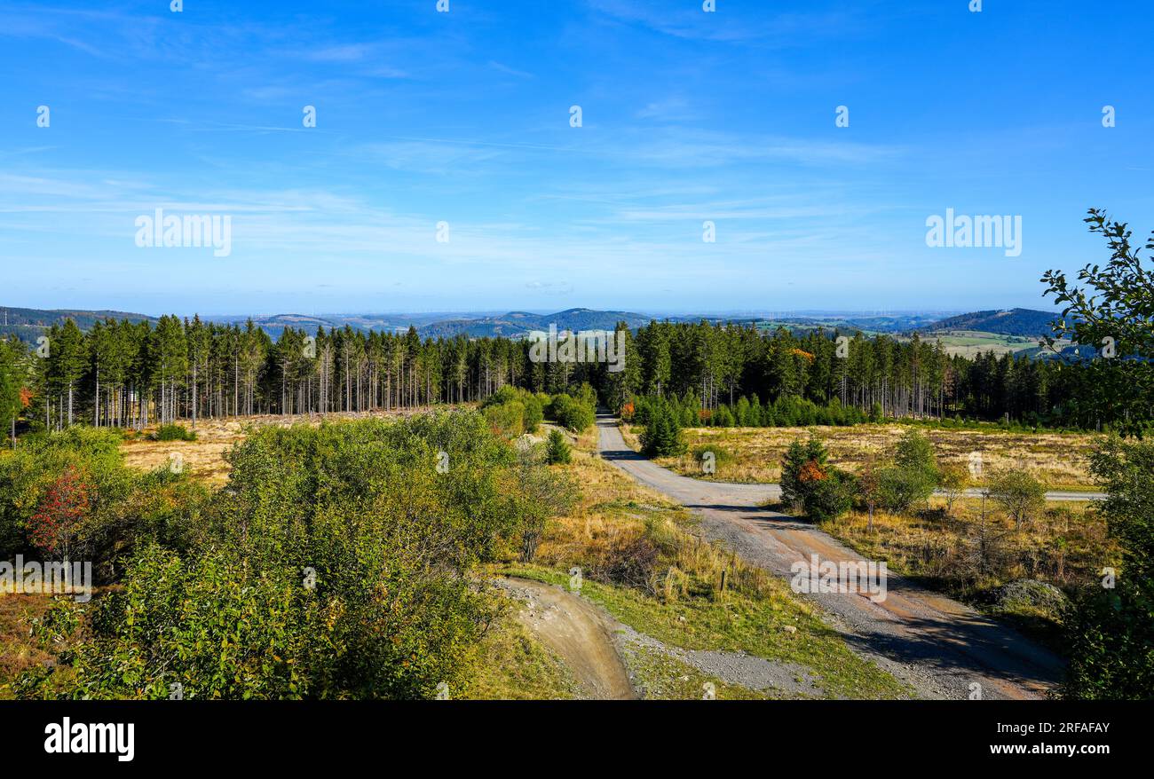 Hiking trail through nature in the Sauerland. Landscape in the forest ...