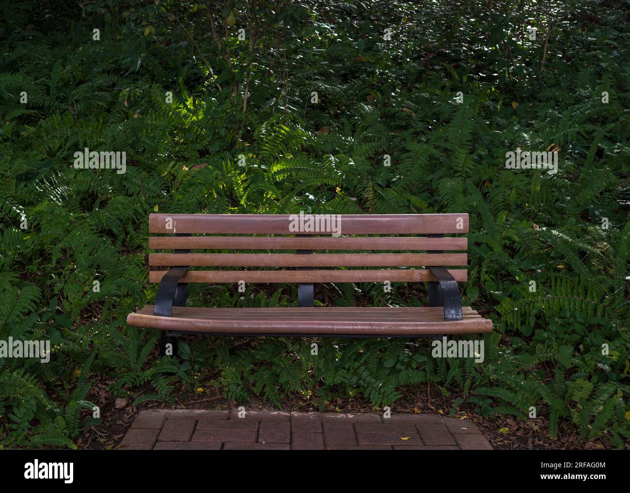 Empty park bench in park hi-res stock photography and images - Alamy