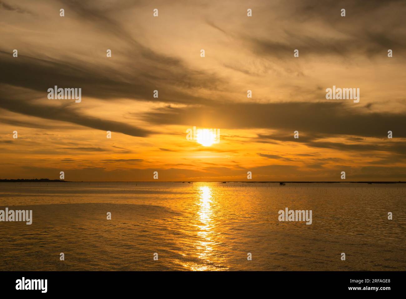 Cockle farm hi-res stock photography and images - Alamy