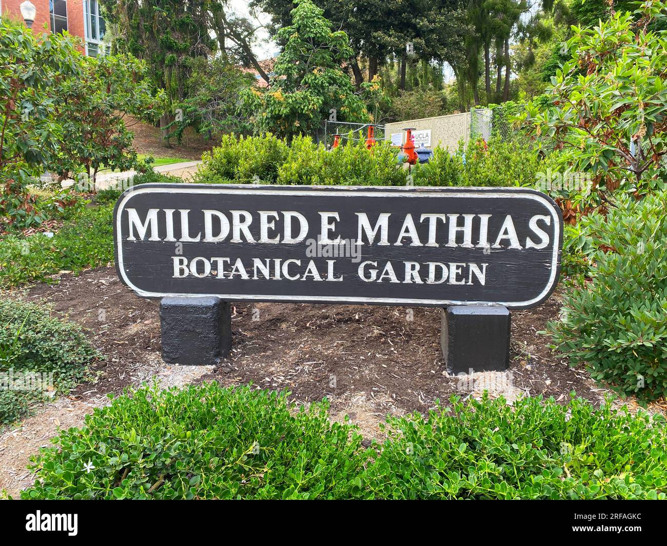 The Mildred E. Mathias Botanical Garden at UCLA, Westwood, Los Angeles ...