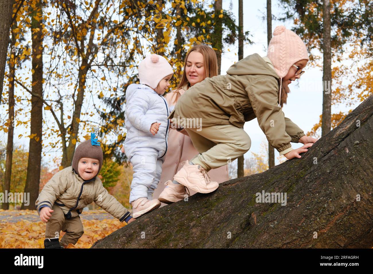 A large family spends time together in the park. Children try to climb ...