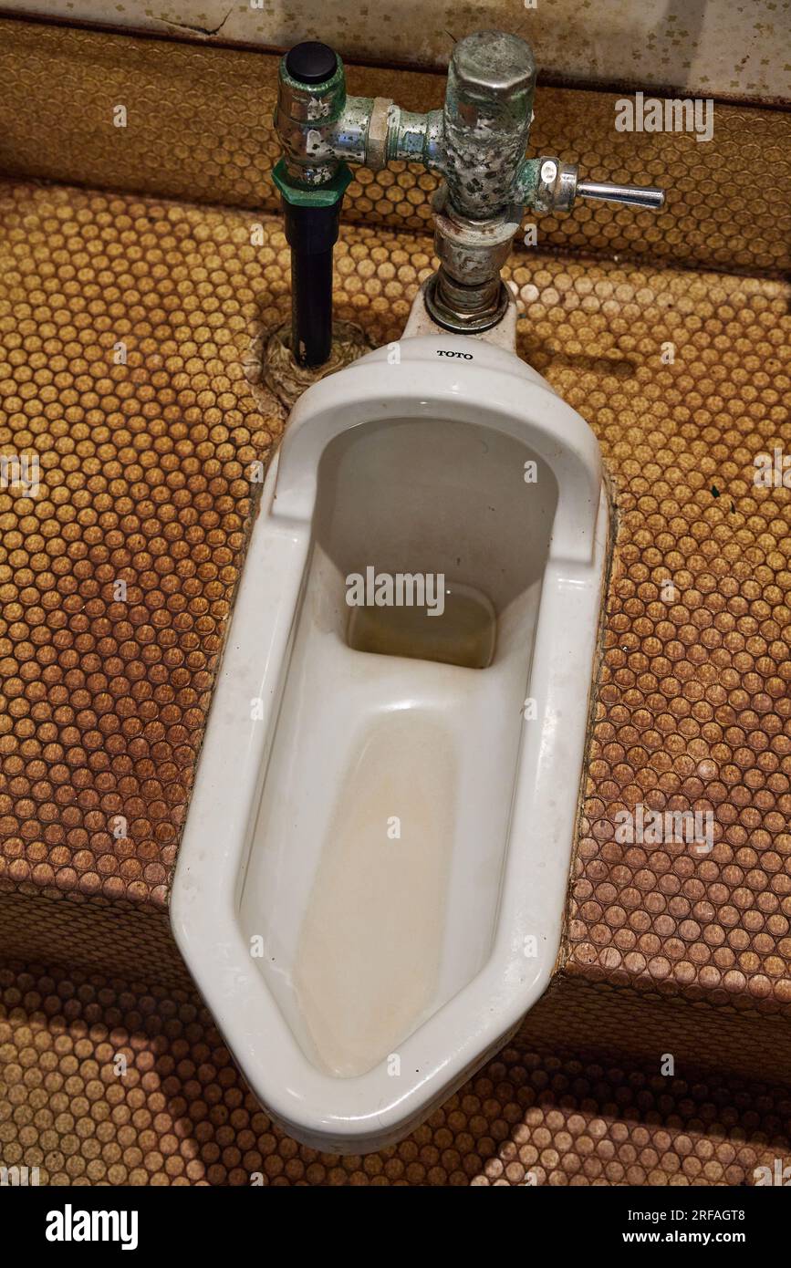 Japanese Style Toilet For Sale At Amparo Pacheco Blog