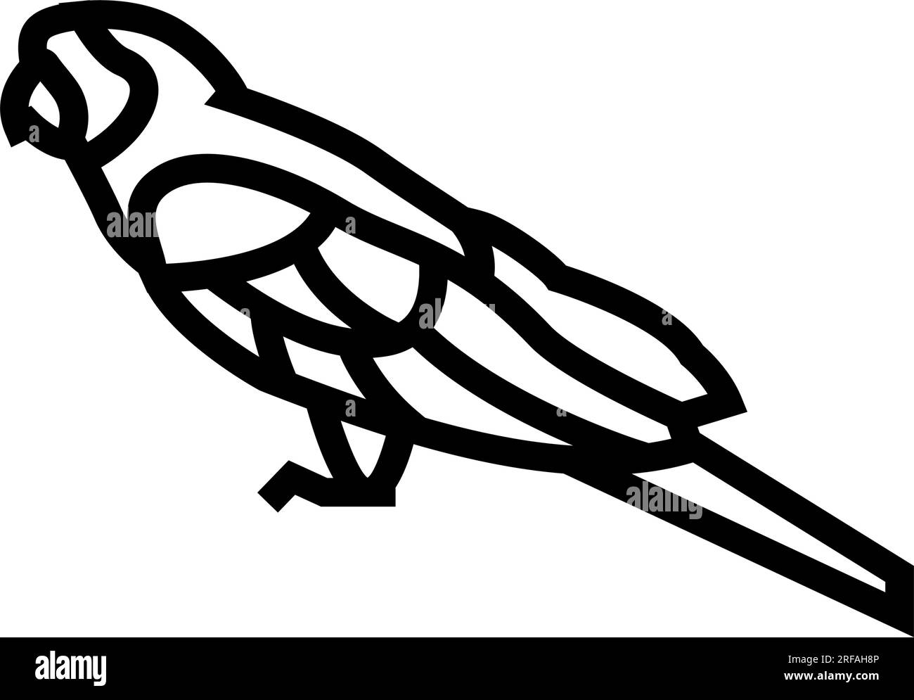 scarlet macaw sitting parrot bird line icon vector illustration Stock ...