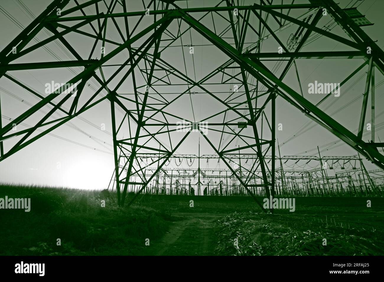 High voltage electric tower line Stock Photo - Alamy