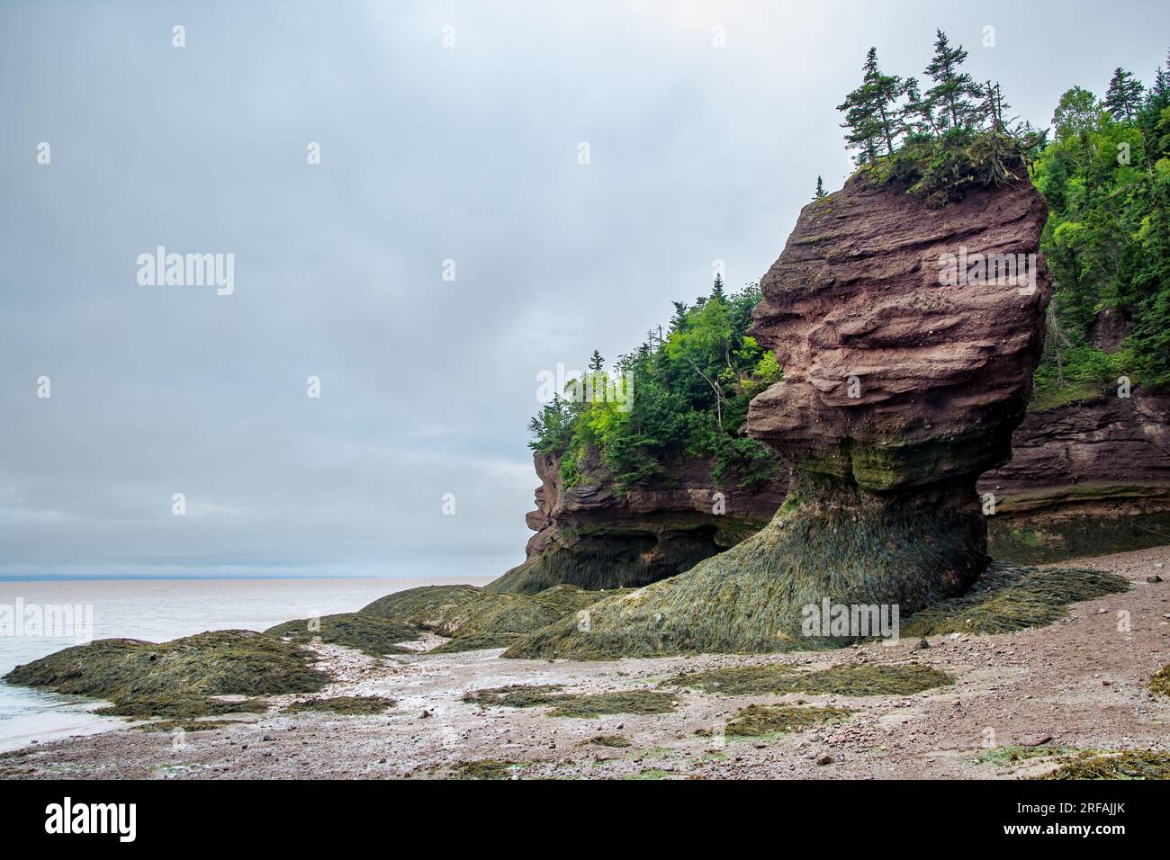 The bay of Fundy, New Brunswick.This bay is famous for having the ...