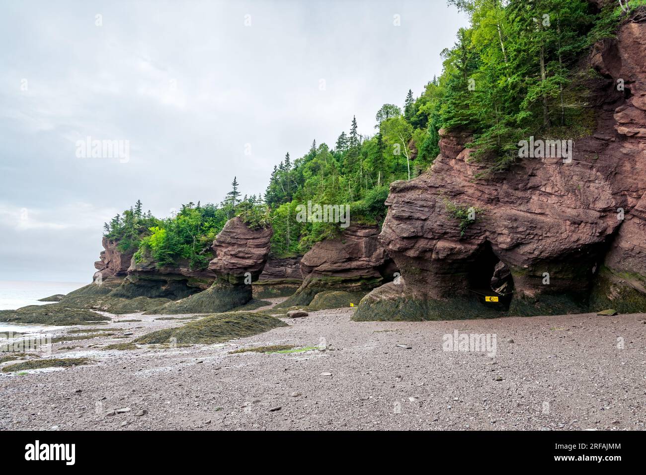 The bay of Fundy, New Brunswick.This bay is famous for having the ...