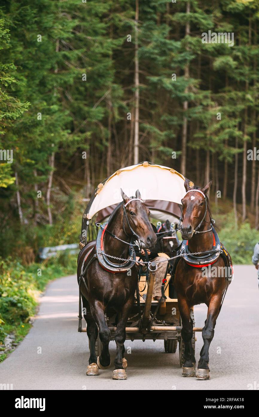 Tatra National Park, Poland. Man In National Traditional Polish Folk ...