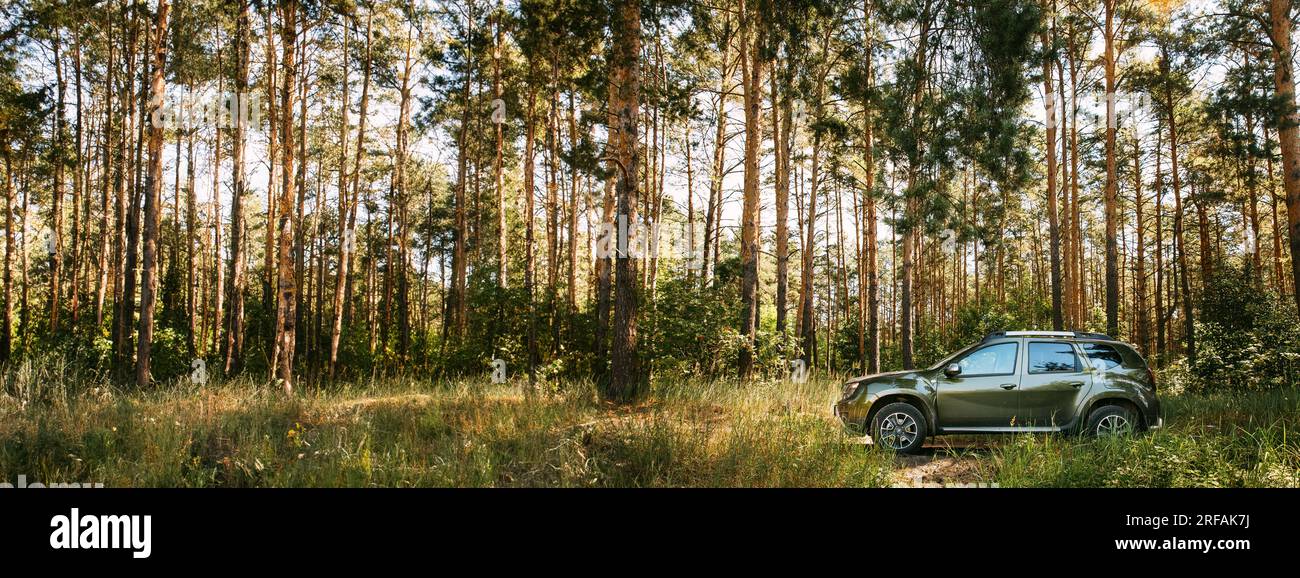 Romanian Car Manufacturer Logo