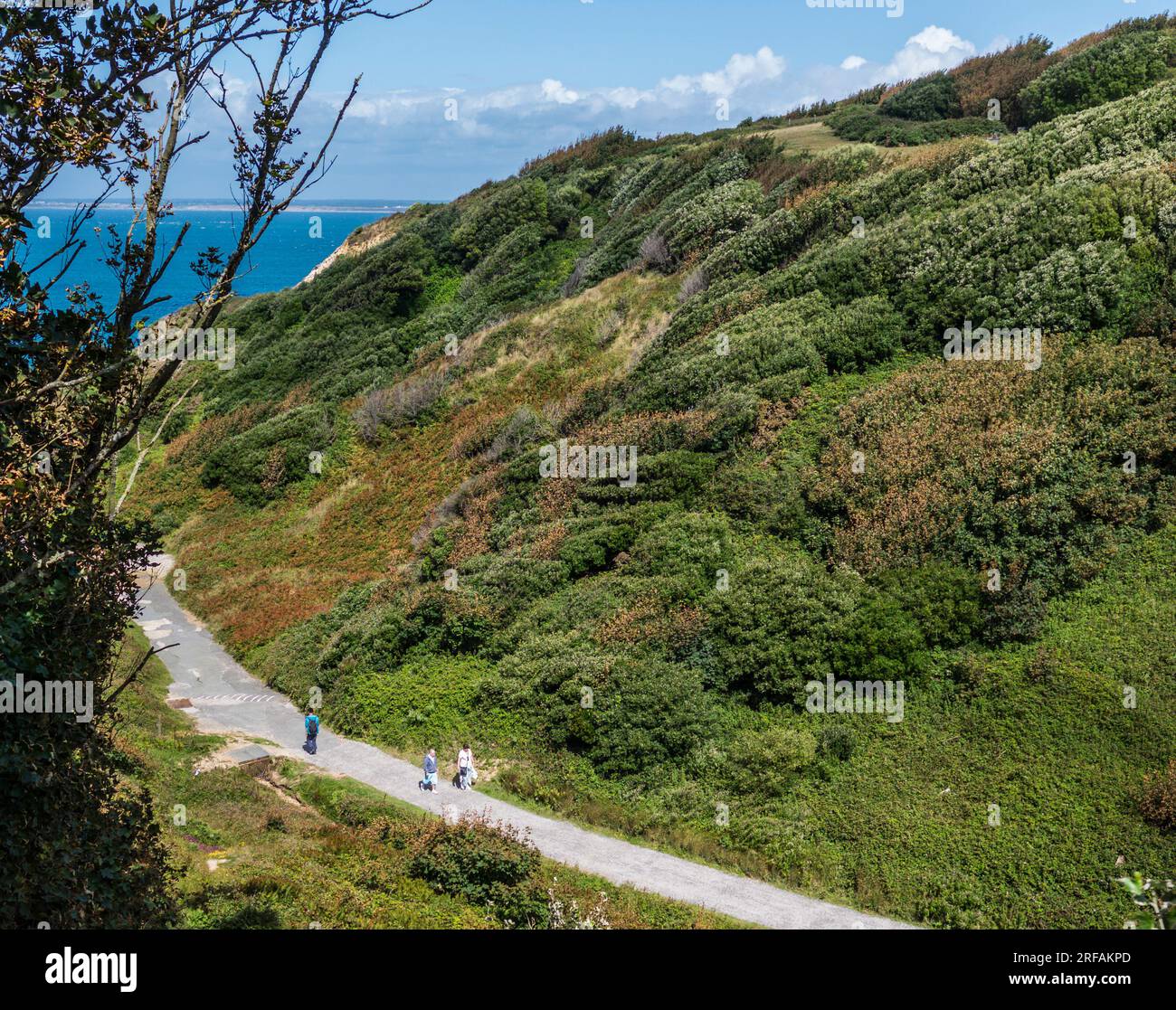 Picturesque pathway leading to Alum Bay and The Needles at the Isle of ...