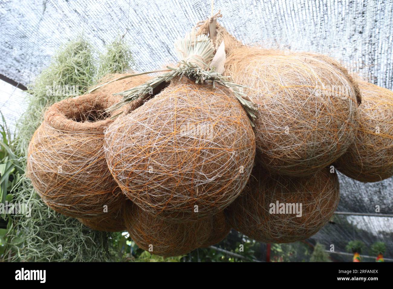 Handcrafted bird nest hi-res stock photography and images - Alamy