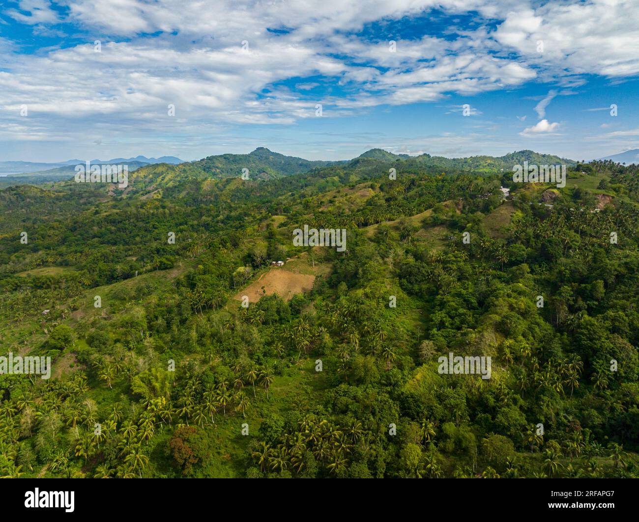 Mountain landscape with rainforest and jungle. Blue sky and clouds ...