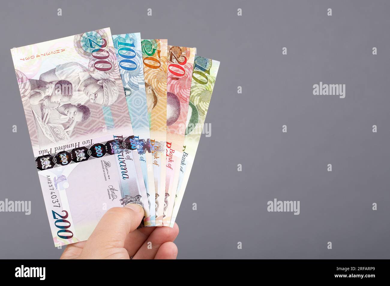 Botswana money - pula in the hand on a gray background Stock Photo - Alamy