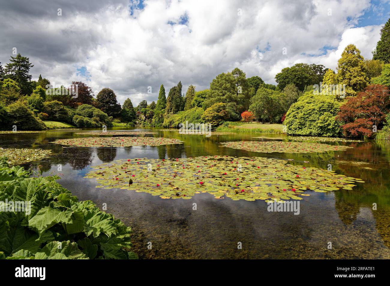 Sheffield Park an English Summer scene Stock Photo - Alamy