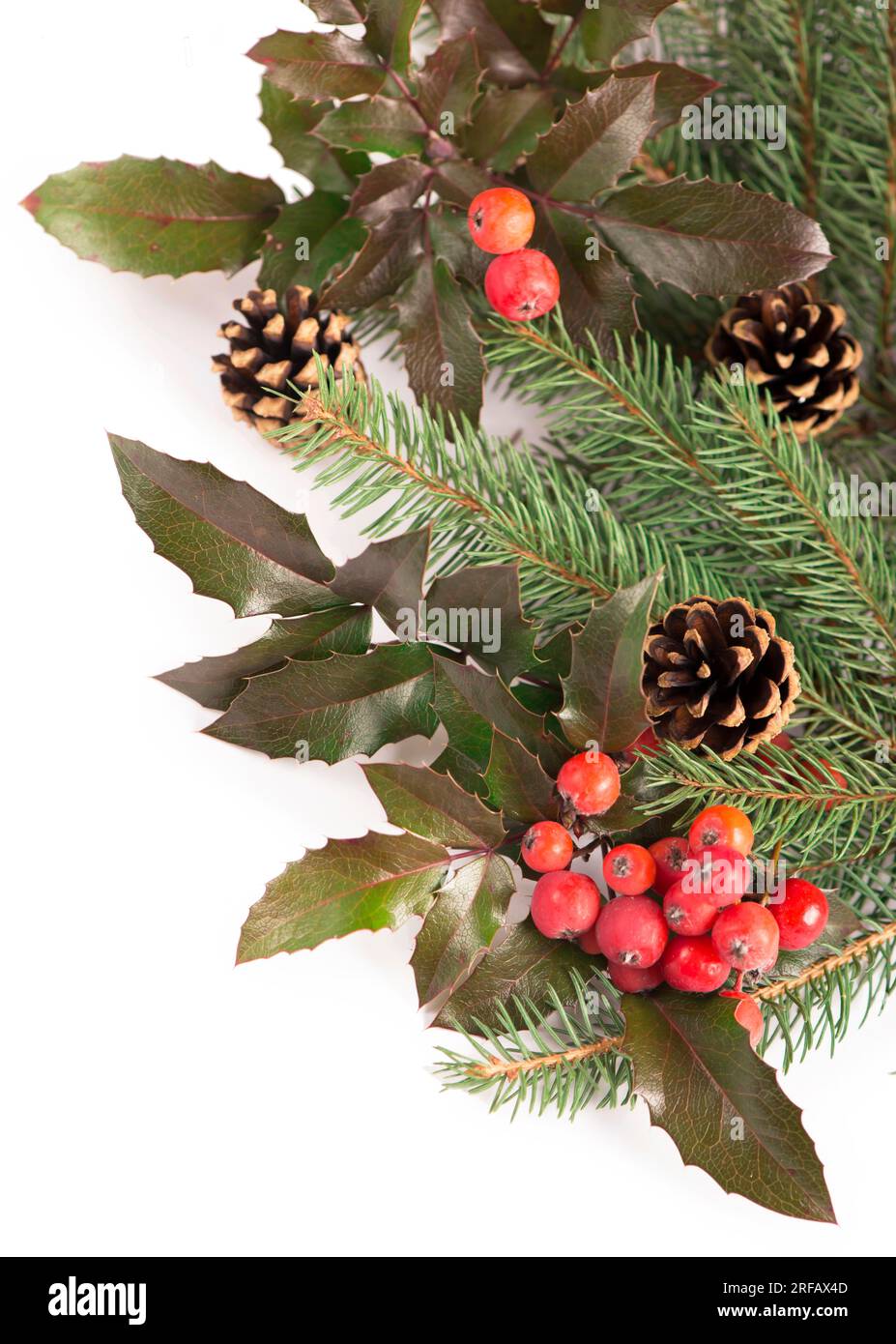 Christmas seasonal border of holly, mistletoe, sprigs with pine cones ...