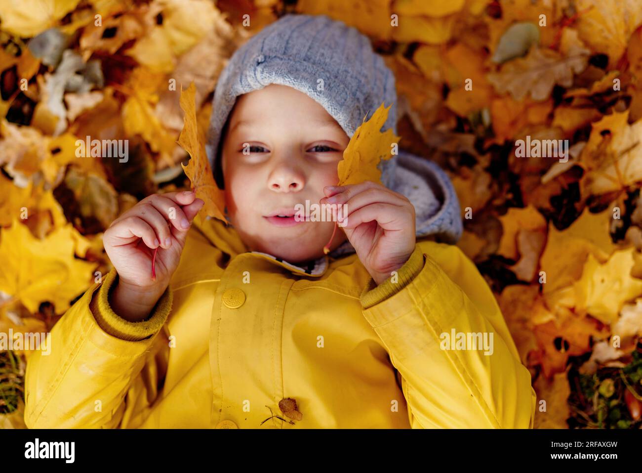 cute little boy laying on ground covered with yellow fallen leaves ...
