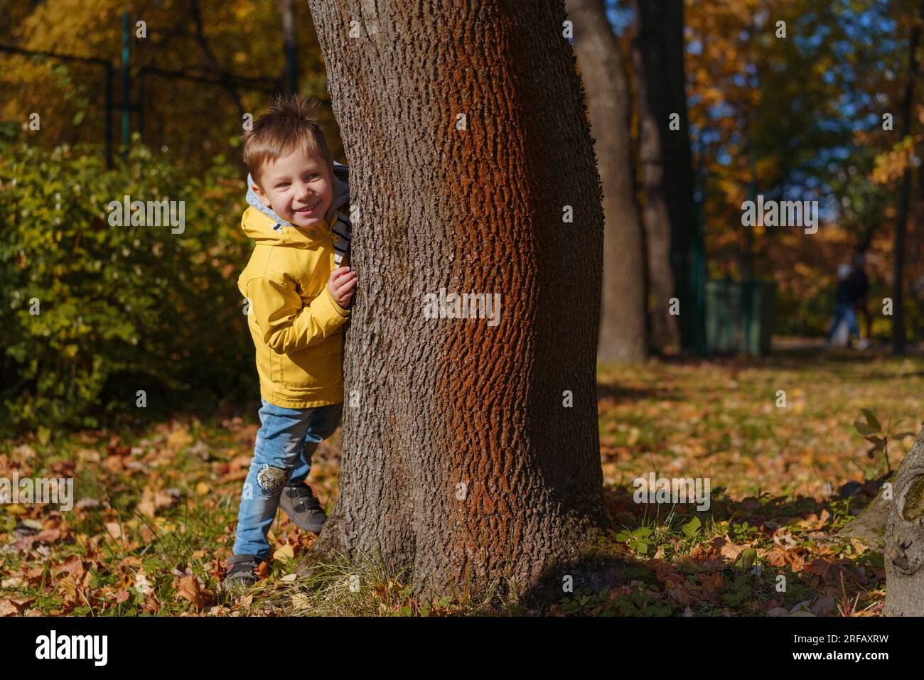 Pikabu hi-res stock photography and images - Alamy