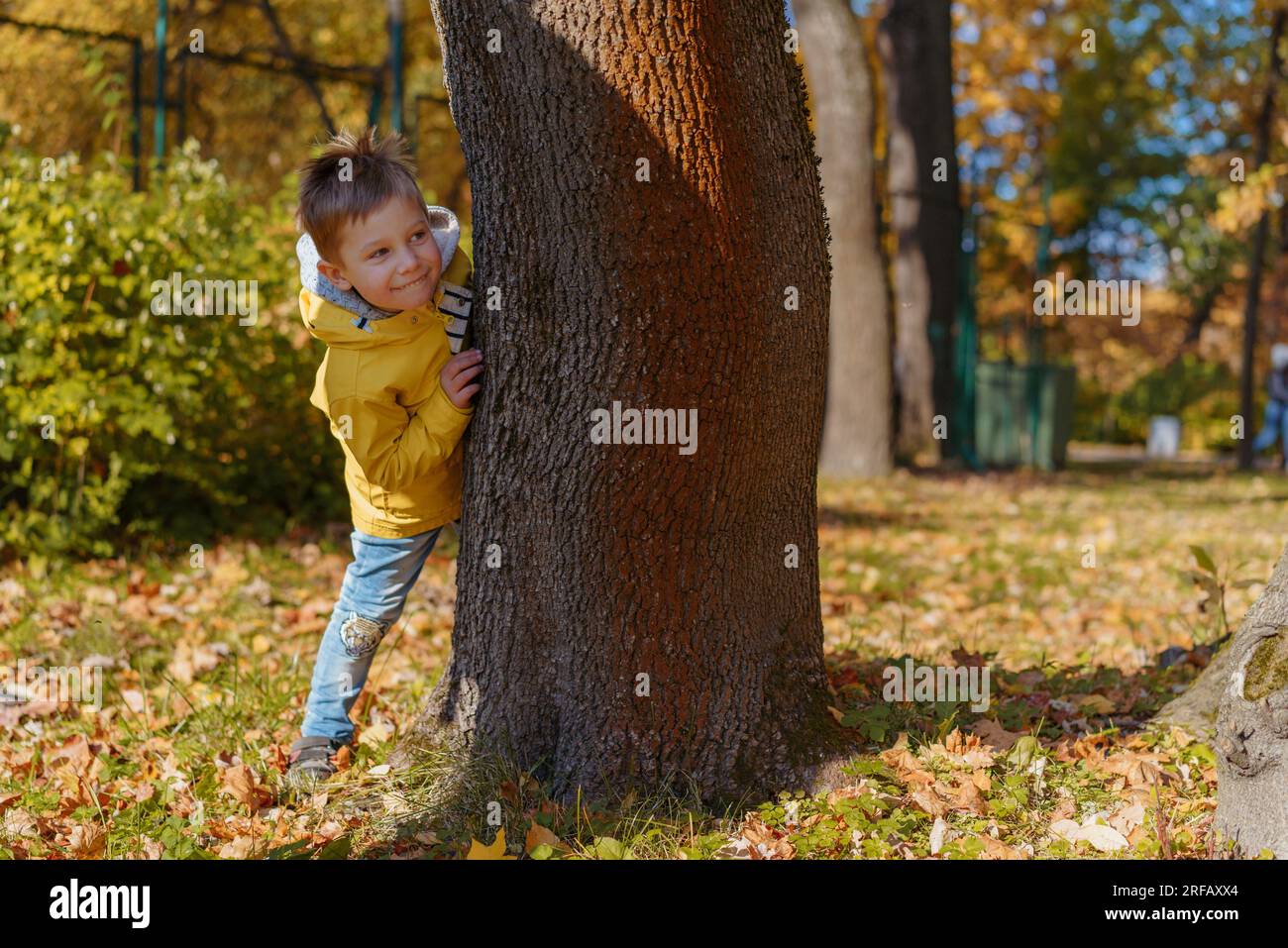 cute caucasian boy hide behind tree in autumn park. playing outdoors . High quality photo Stock ...