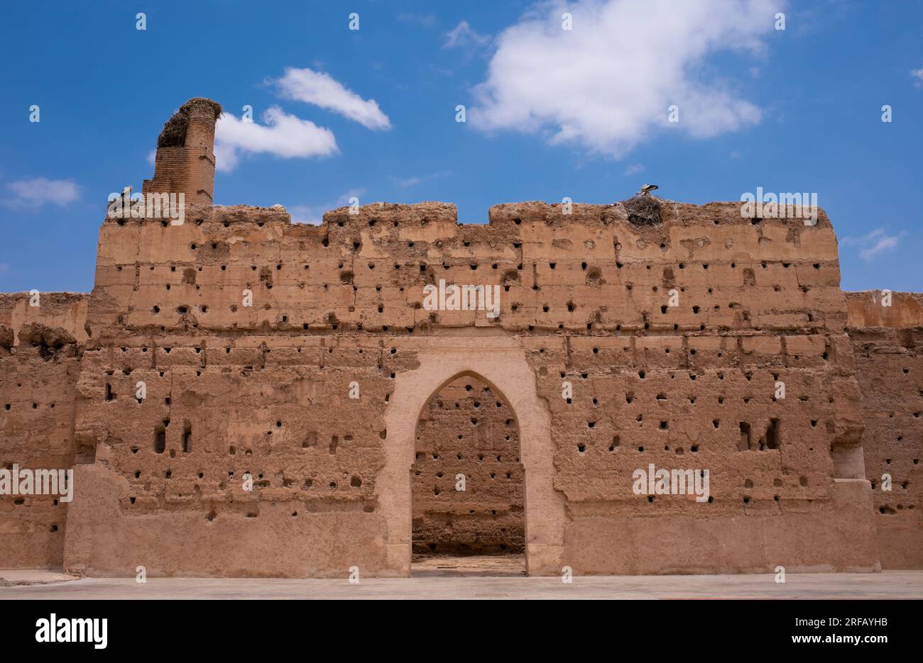 Morocco: White storks (Ciconia ciconia) in the ruins of El Badi Palace ...