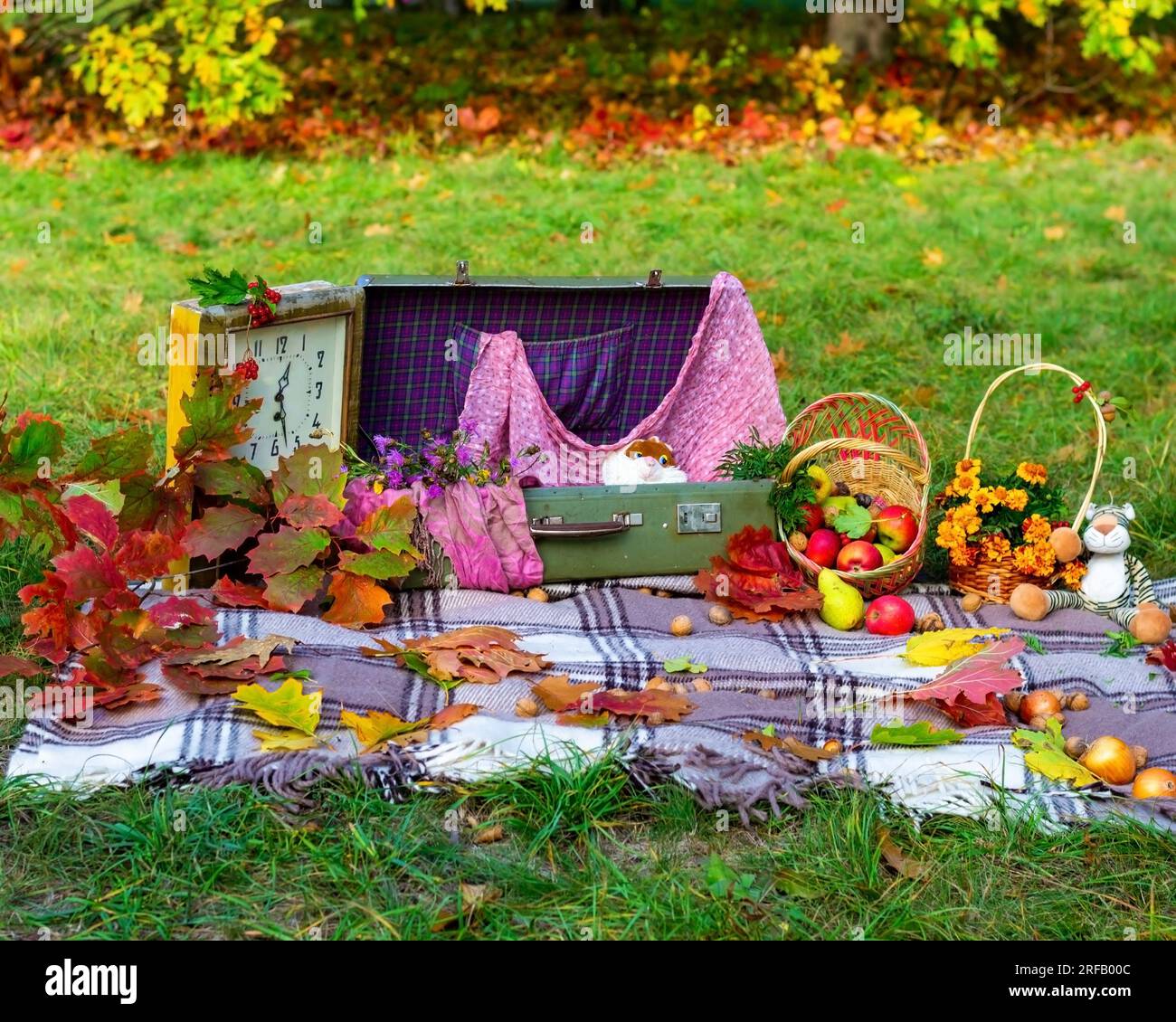 Autumn picnic for children in nature. Autumn picnic in the park. Active ...
