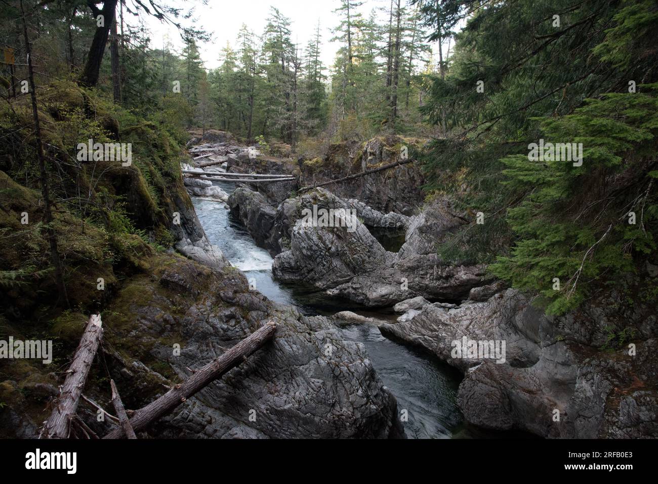 Little Qualicum River cutted a deep canyon in the rocks of the Eastern ...
