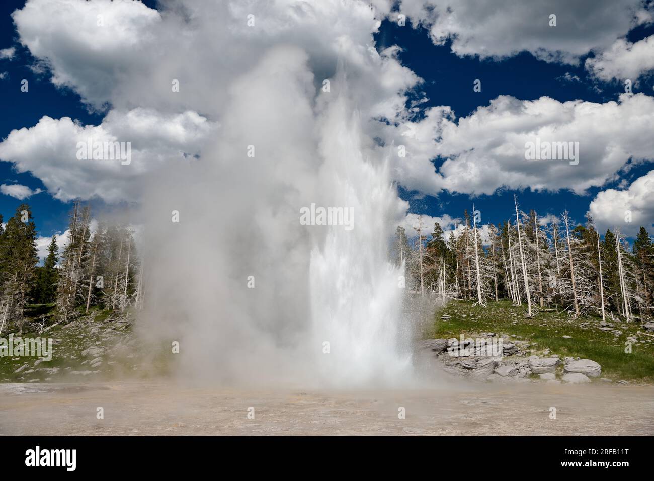 Grand Geyser, Upper Geyser Basin, Yellowstone National Park, Wyoming ...