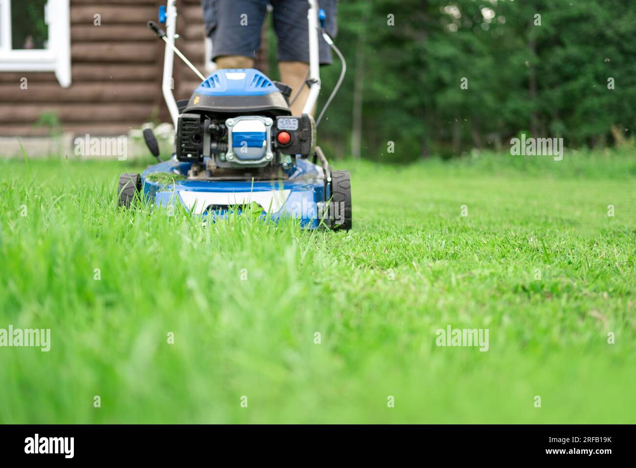 Lawn mower cutting grass. Small grass cuttings fly out of lawnmower ...