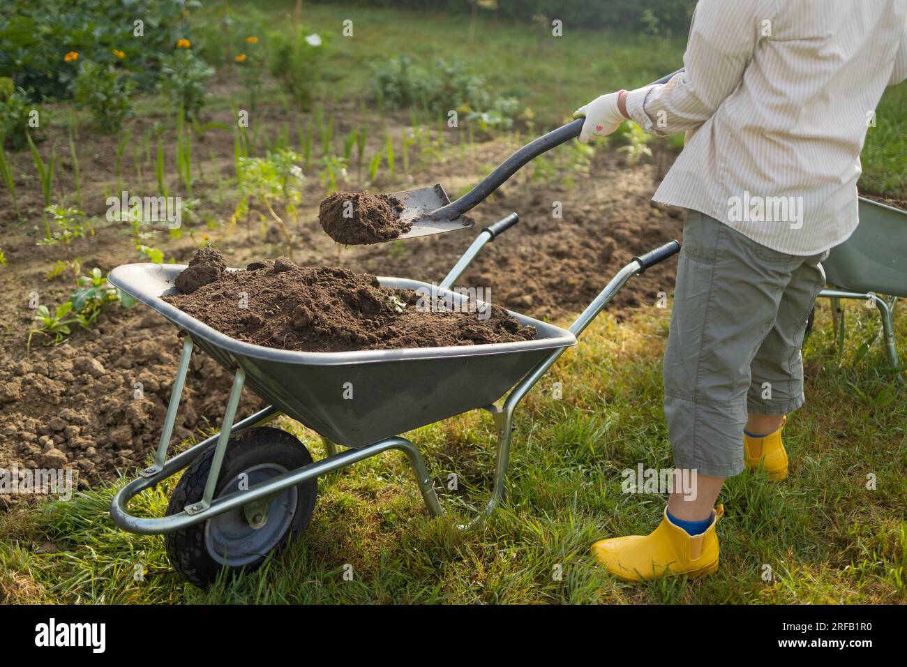 Farmer digging the soil with the shovel, young adult man with rubber ...