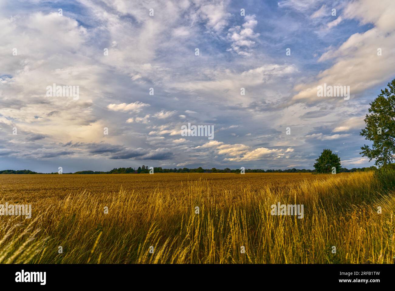 Dramatic sky and autumn field Stock Photo - Alamy