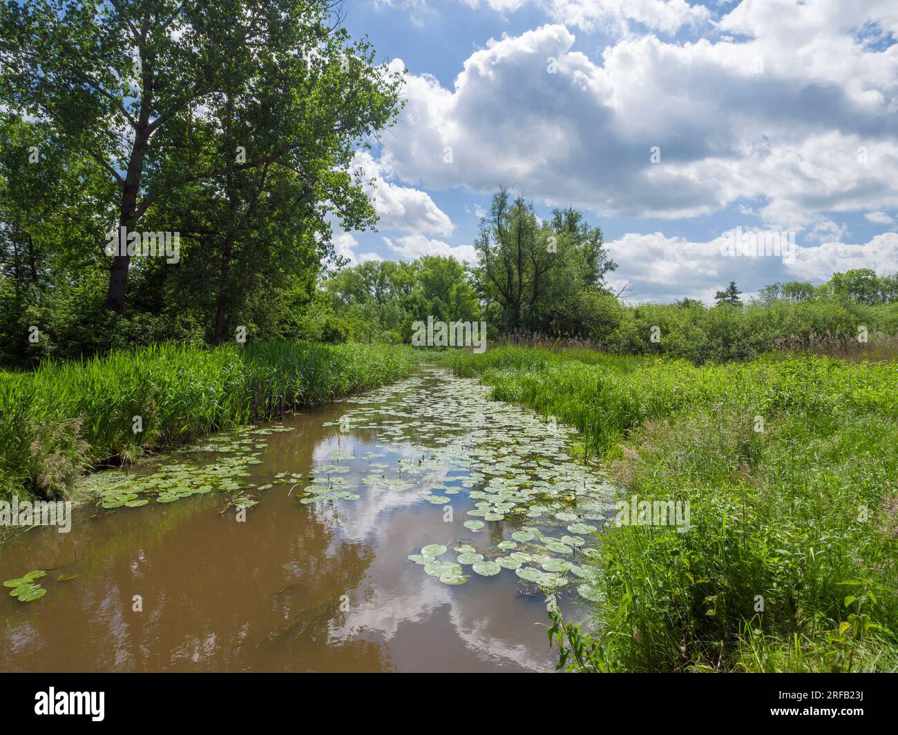 Dommel watermill hi-res stock photography and images - Alamy