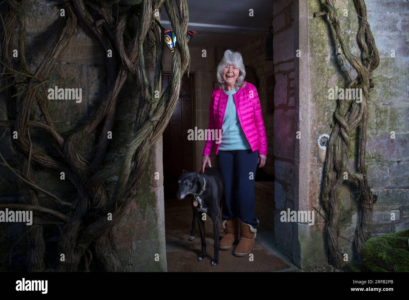 Portrait of author Jilly Cooper at her home in Gloucestershire, she was ...