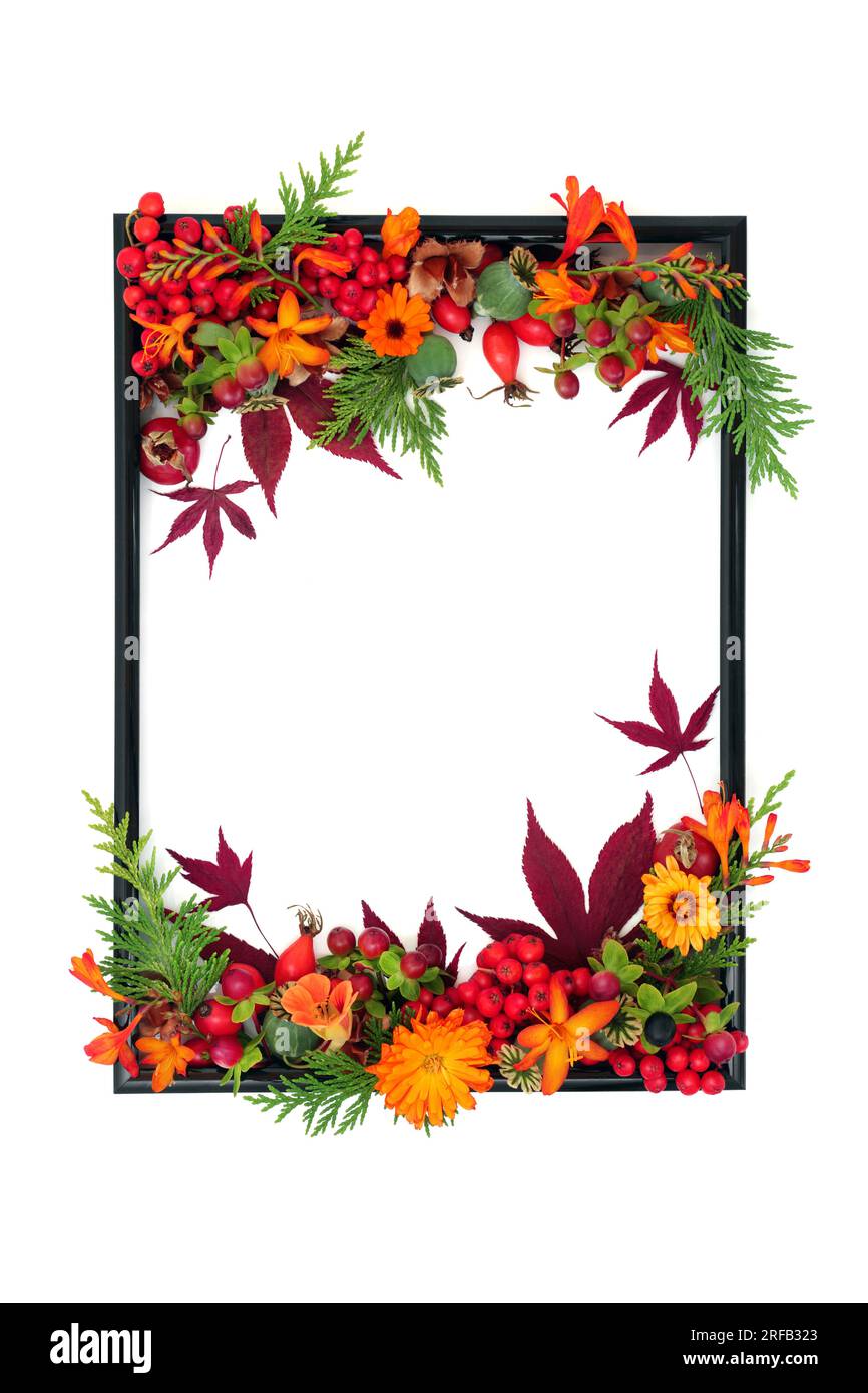 Floral Thanksgiving Autumn Fall nature background border with flowers ...