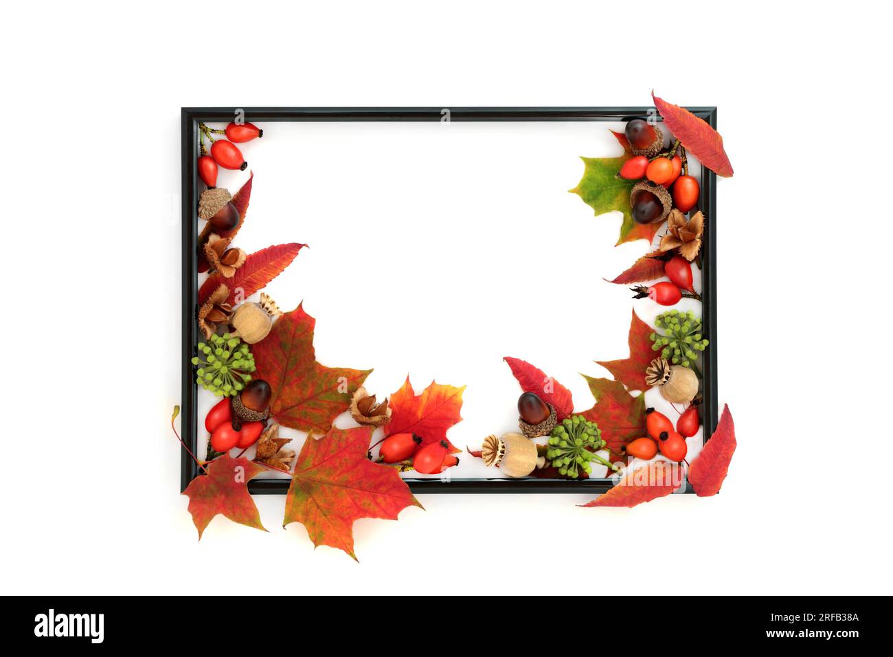 November flower border Cut Out Stock Images & Pictures - Alamy