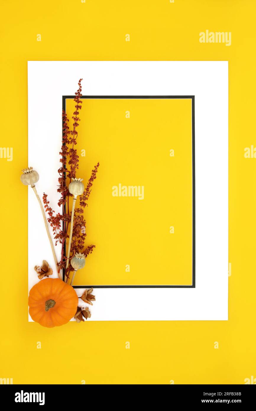 Autumn Fall Halloween minimal background border frame design on yellow ...