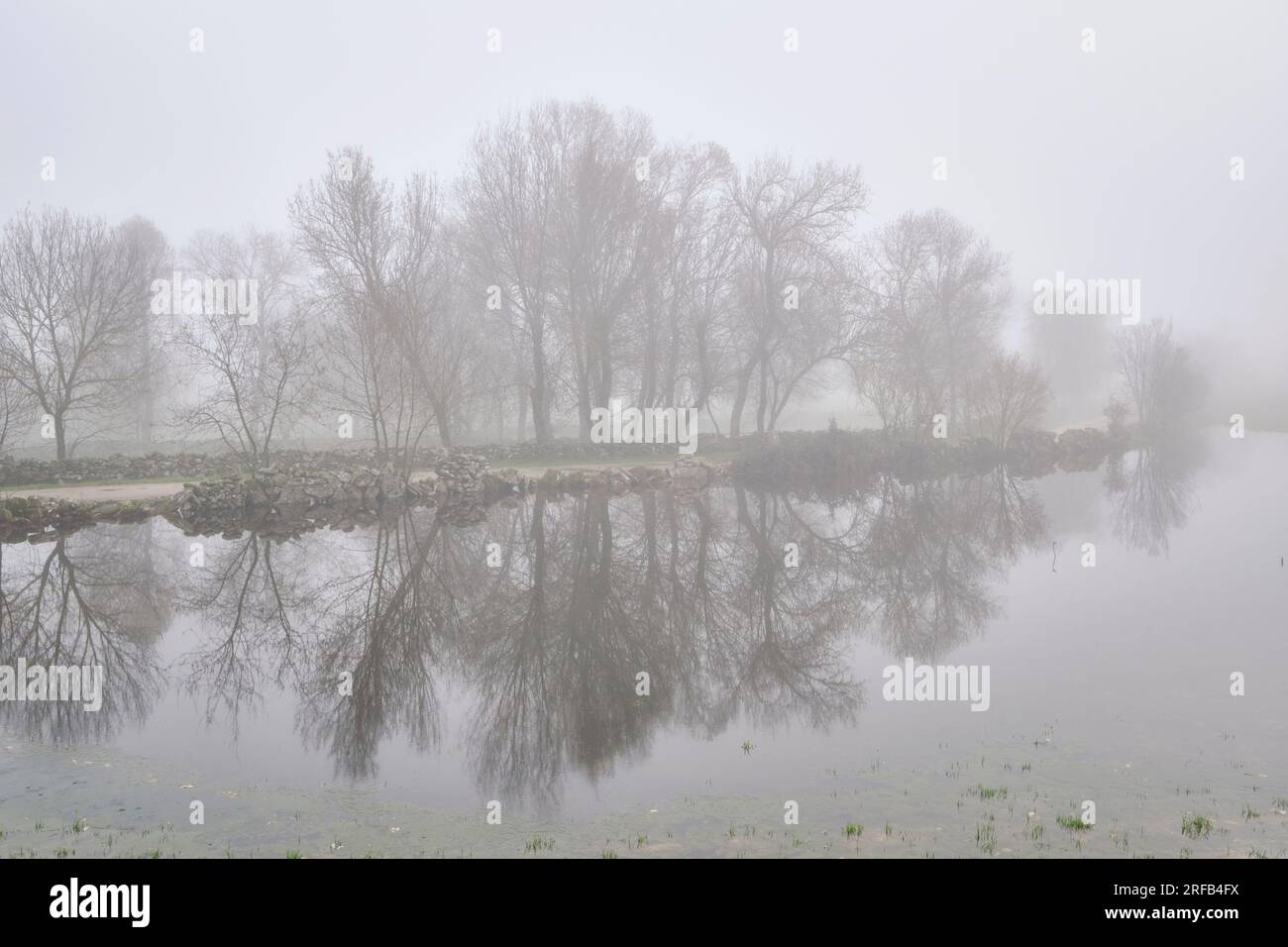 Foggy winter morning. Vila Cha de Braciosa, Tras-os-Montes. Portugal ...