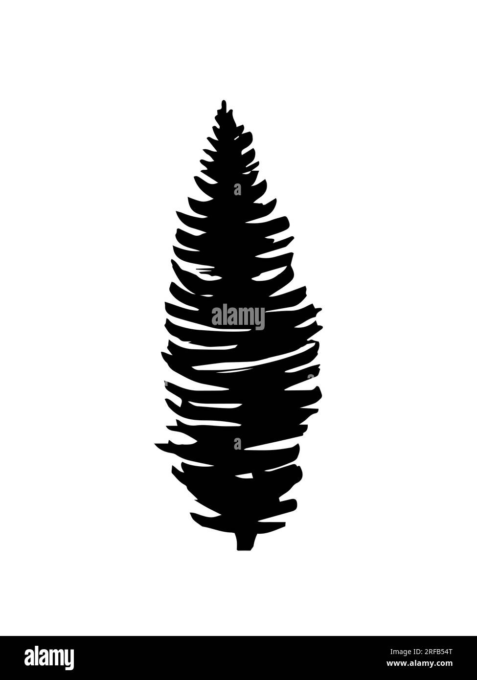 Hand drawn fir tree Stock Vector Image & Art - Alamy