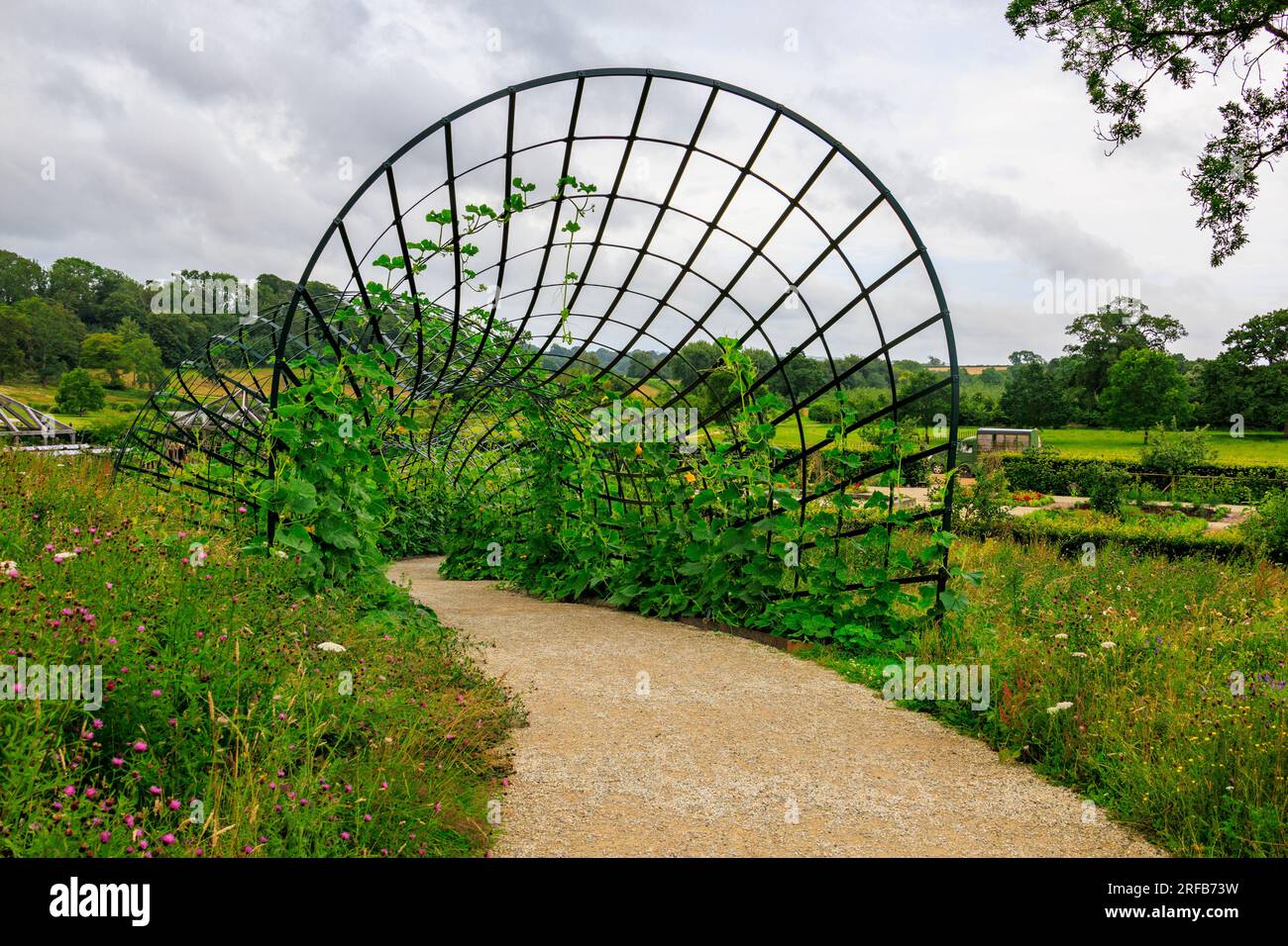 The interesting shapes and curves of the squash tunnel in the Kitchen ...