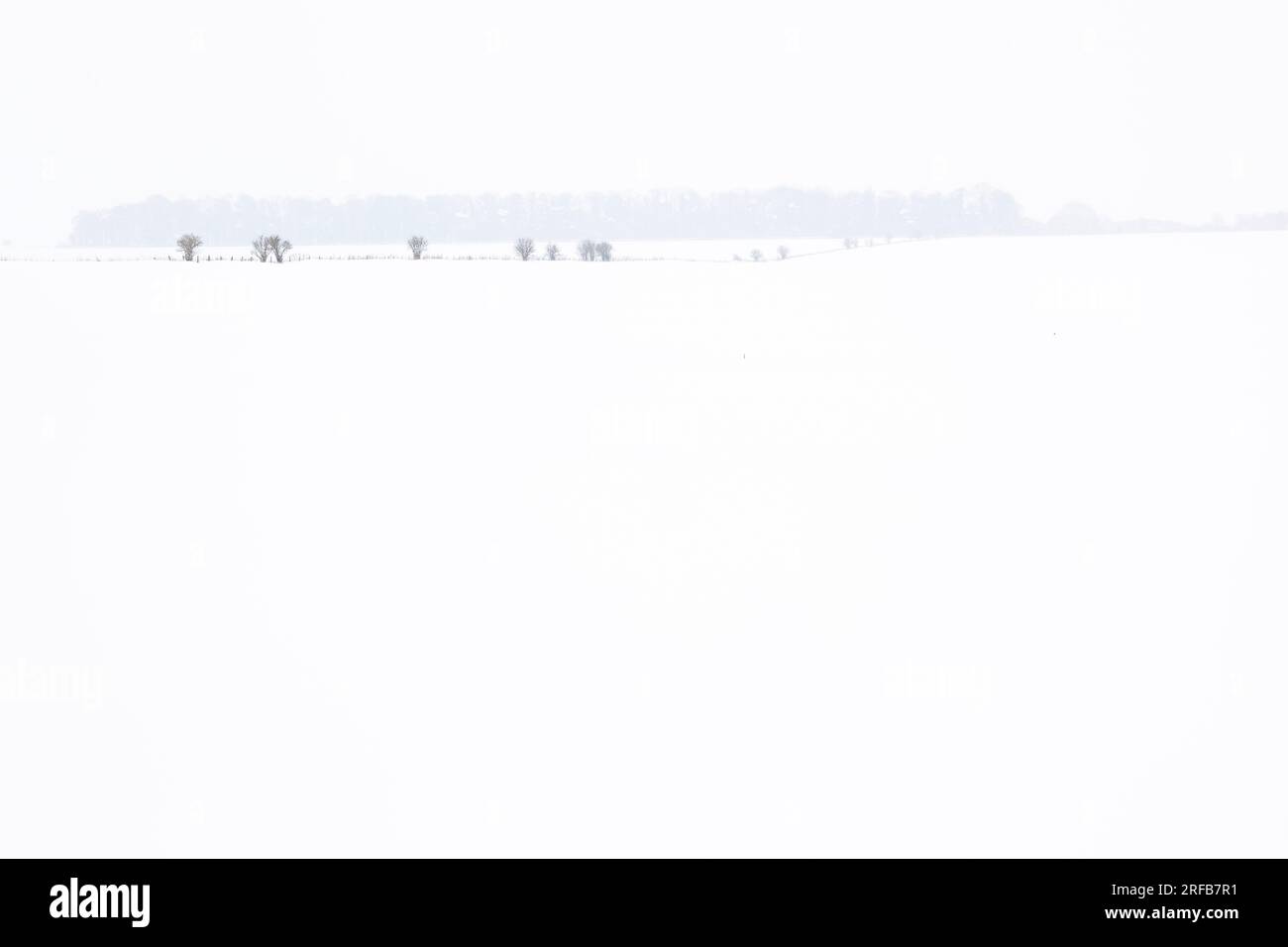 Fields covered in a layer of snow in this bleak winters landscape with ...