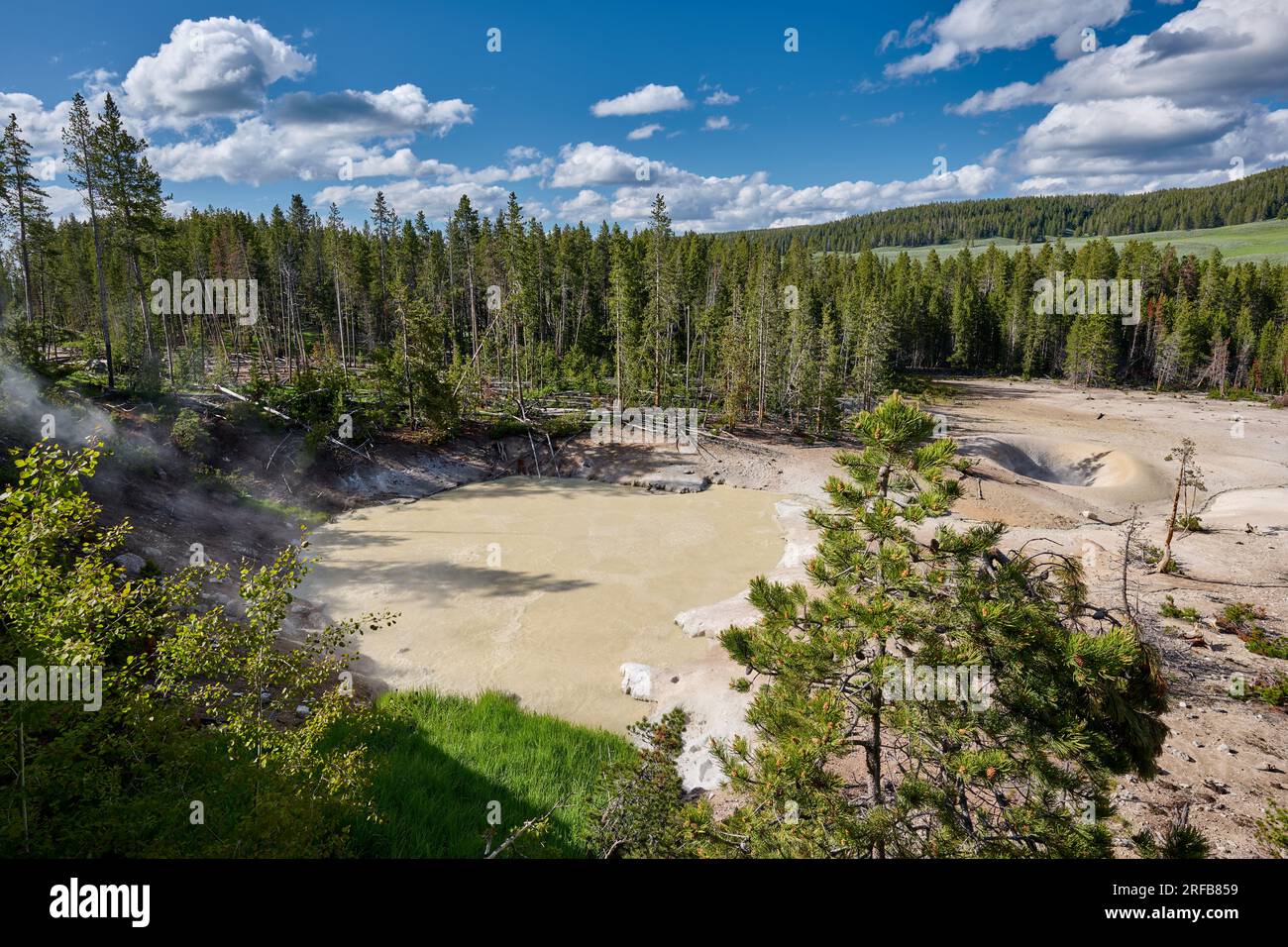 Sulphur Caldron, Yellowstone National Park, Wyoming, United States of ...