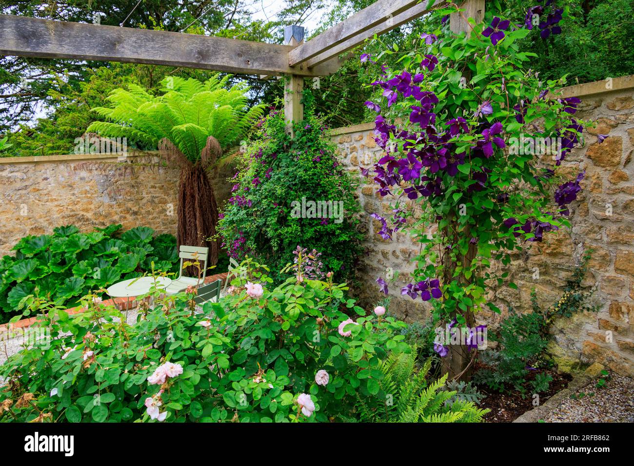 A colourful corner of the Cottage Garden with purple clematis and tree ...