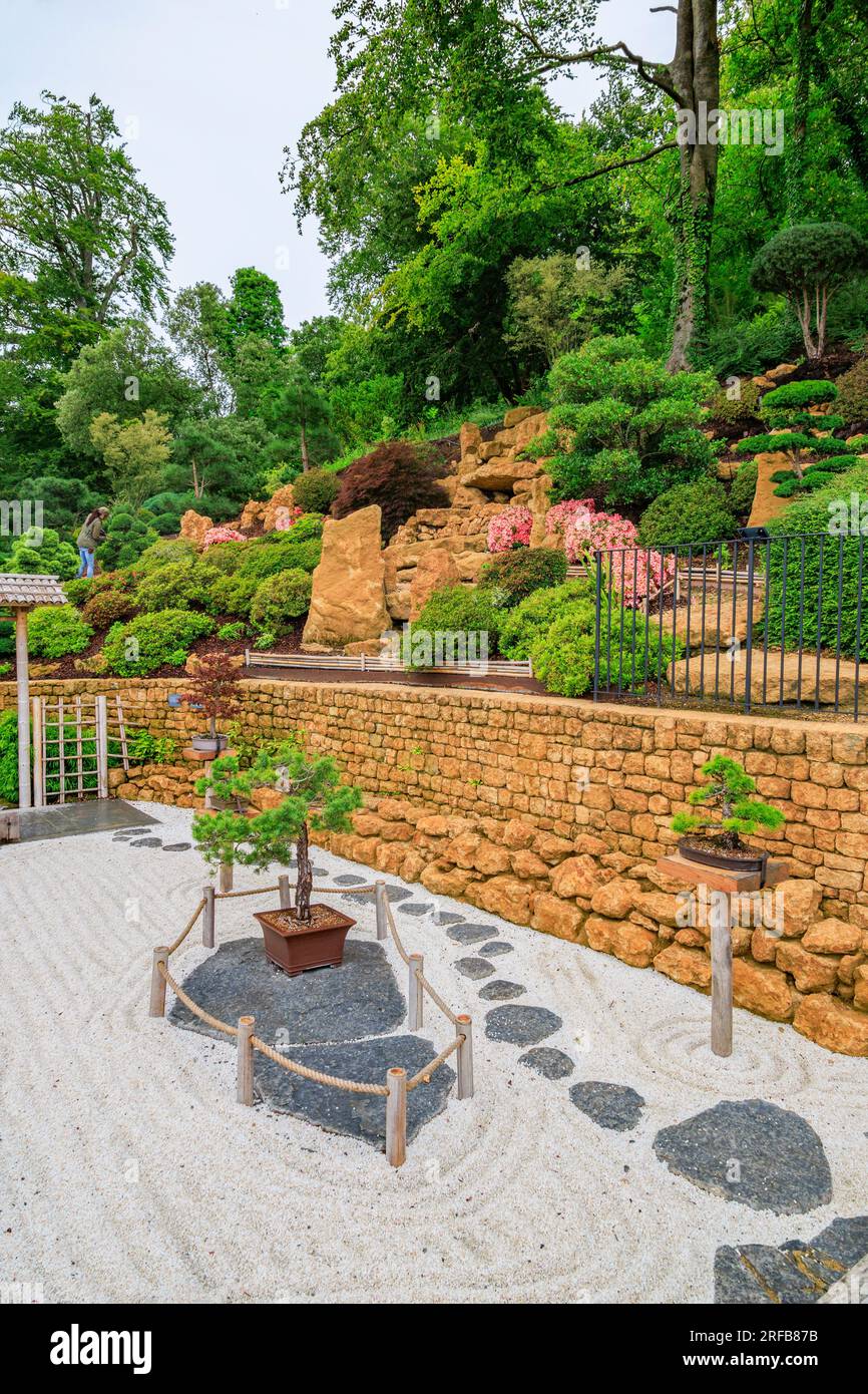 The colourful Japanese Garden with many different sizes of bonsai trees ...