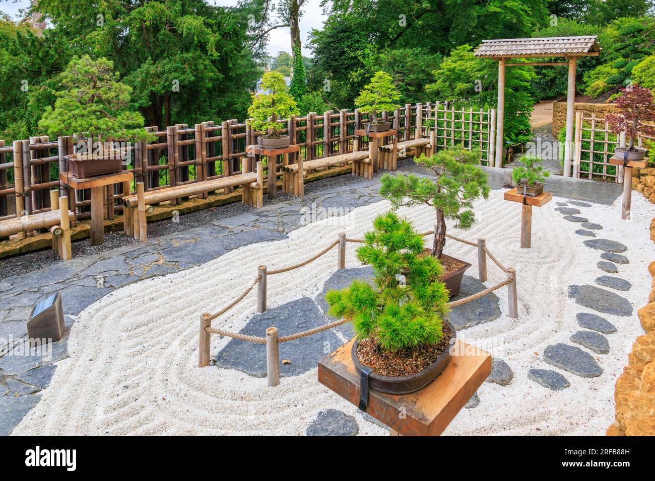 The colourful Japanese Garden with many different sizes of bonsai trees ...