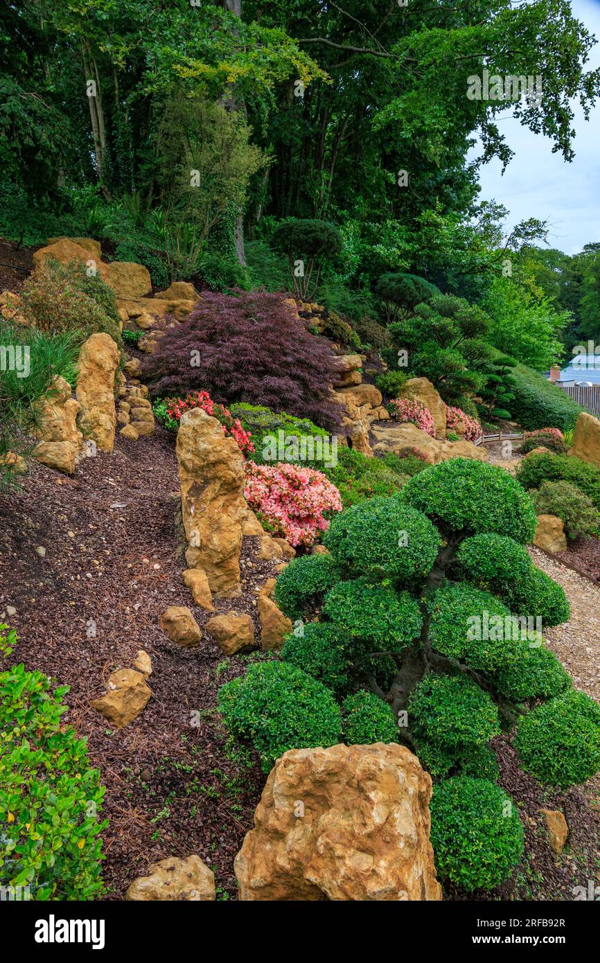 The colourful Japanese Garden with many different sizes of bonsai trees ...
